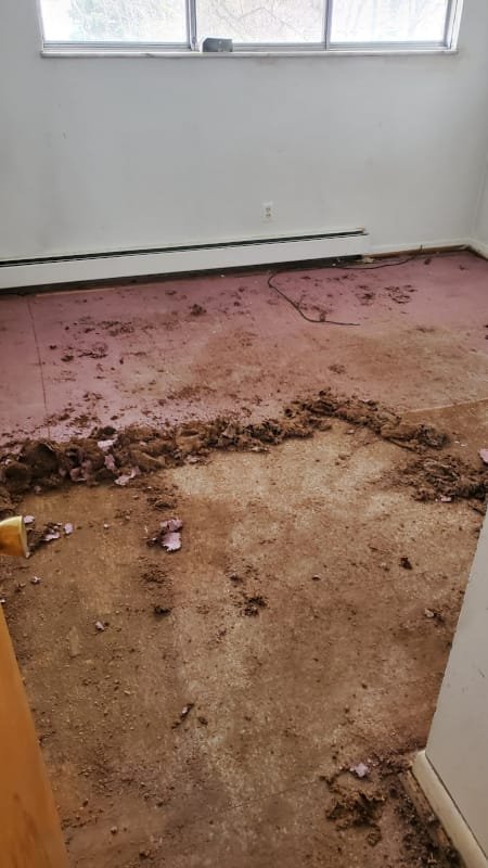 Asbestos & Mold Testing Ann Arbor MI